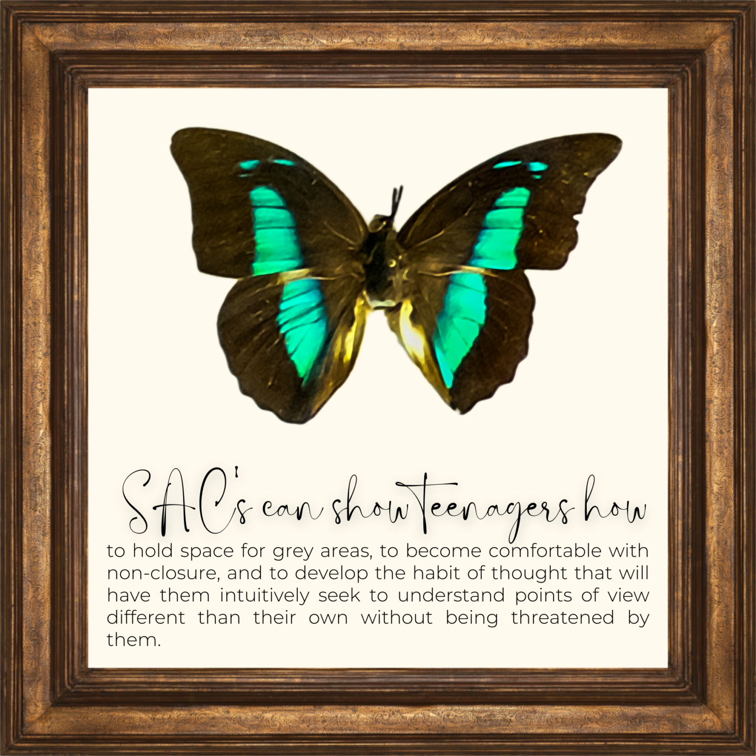 Structured Academic Controversy: A Powerful Tool for Critical Thinking ...